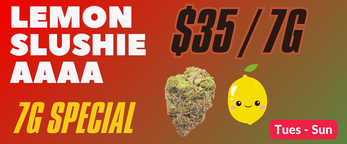 Weed Delivery Toronto | Free Delivery over $50! [2024]